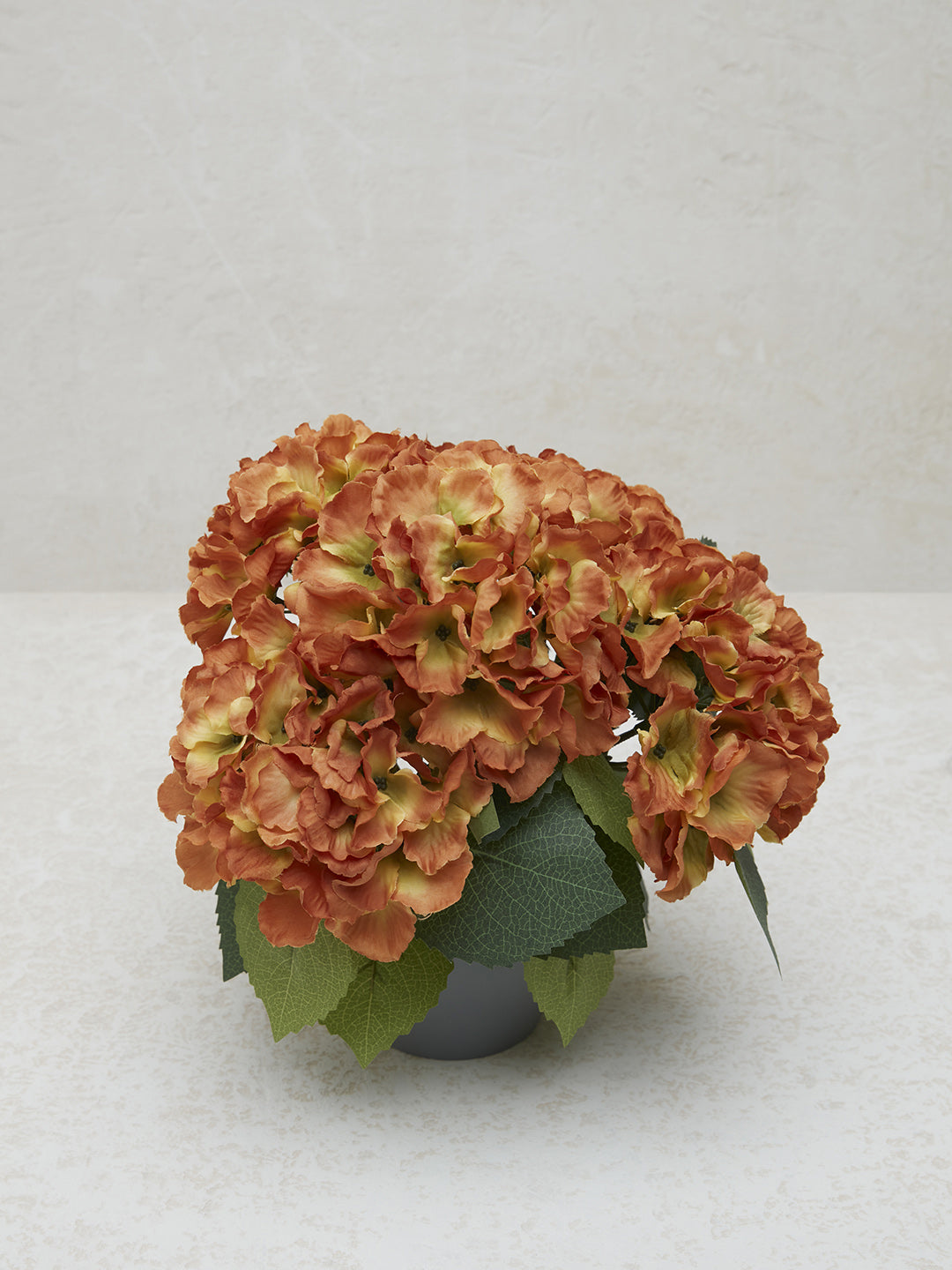 Buy Westside Home Dark Orange Potted Flower from Westside