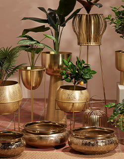 Women Heels - Buy Heels for Women at Best Prices Online - Westside